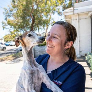 Vet Clinic Bayside, Melbourne | Sandringham Veterinary Hospital